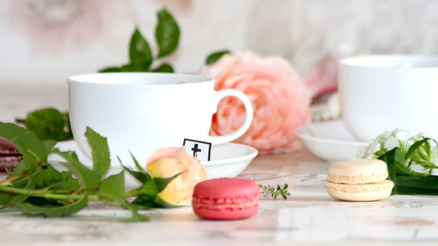 The Evolution Of Tea – An Examination of Tea and it’s History - Twist Teas